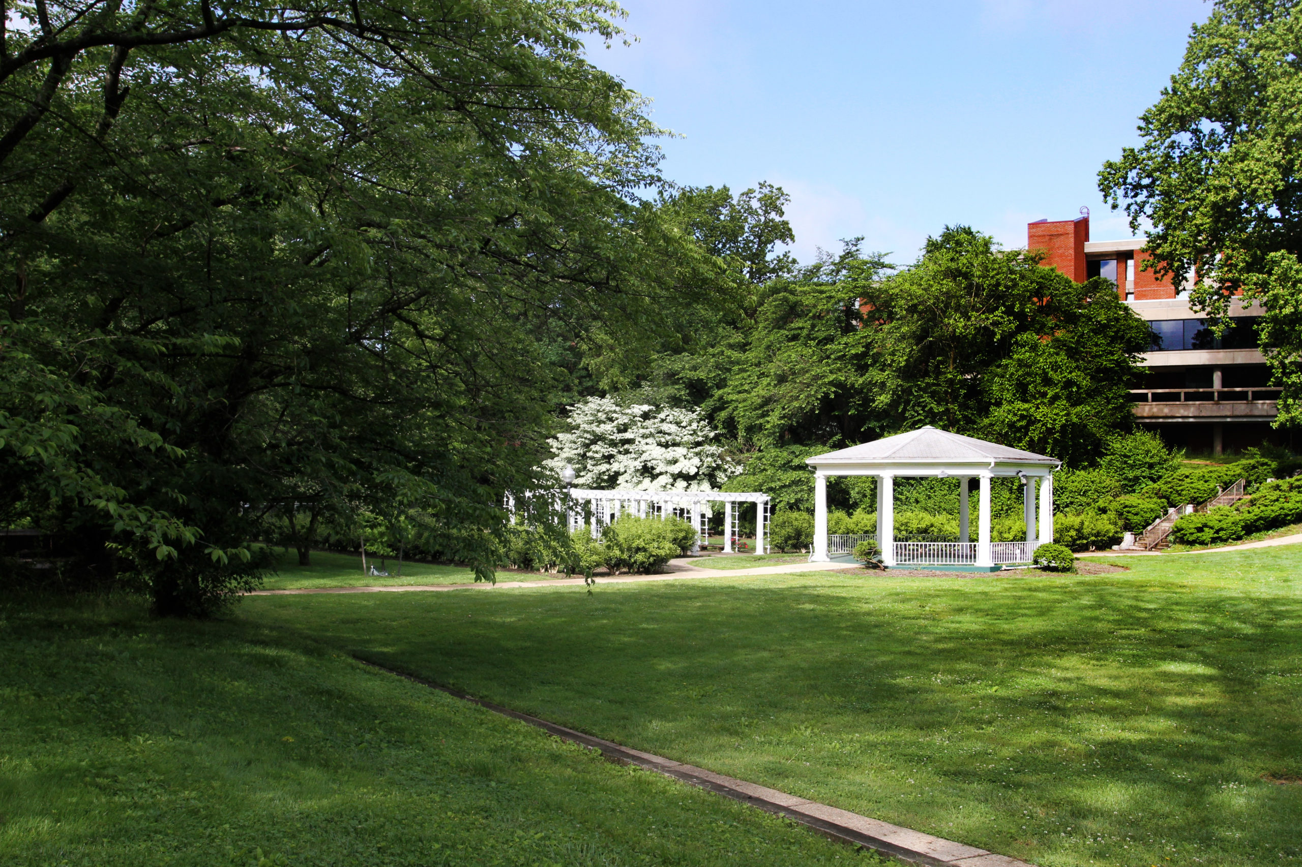 Gallery « Kite House at The Parks