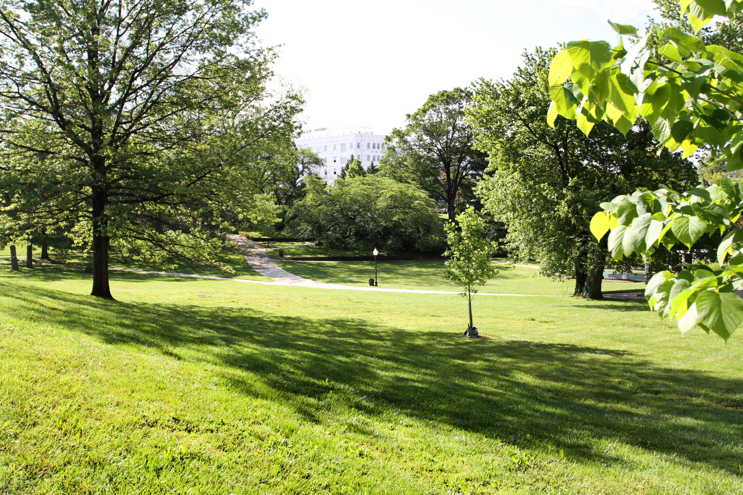 Gallery « Kite House at The Parks