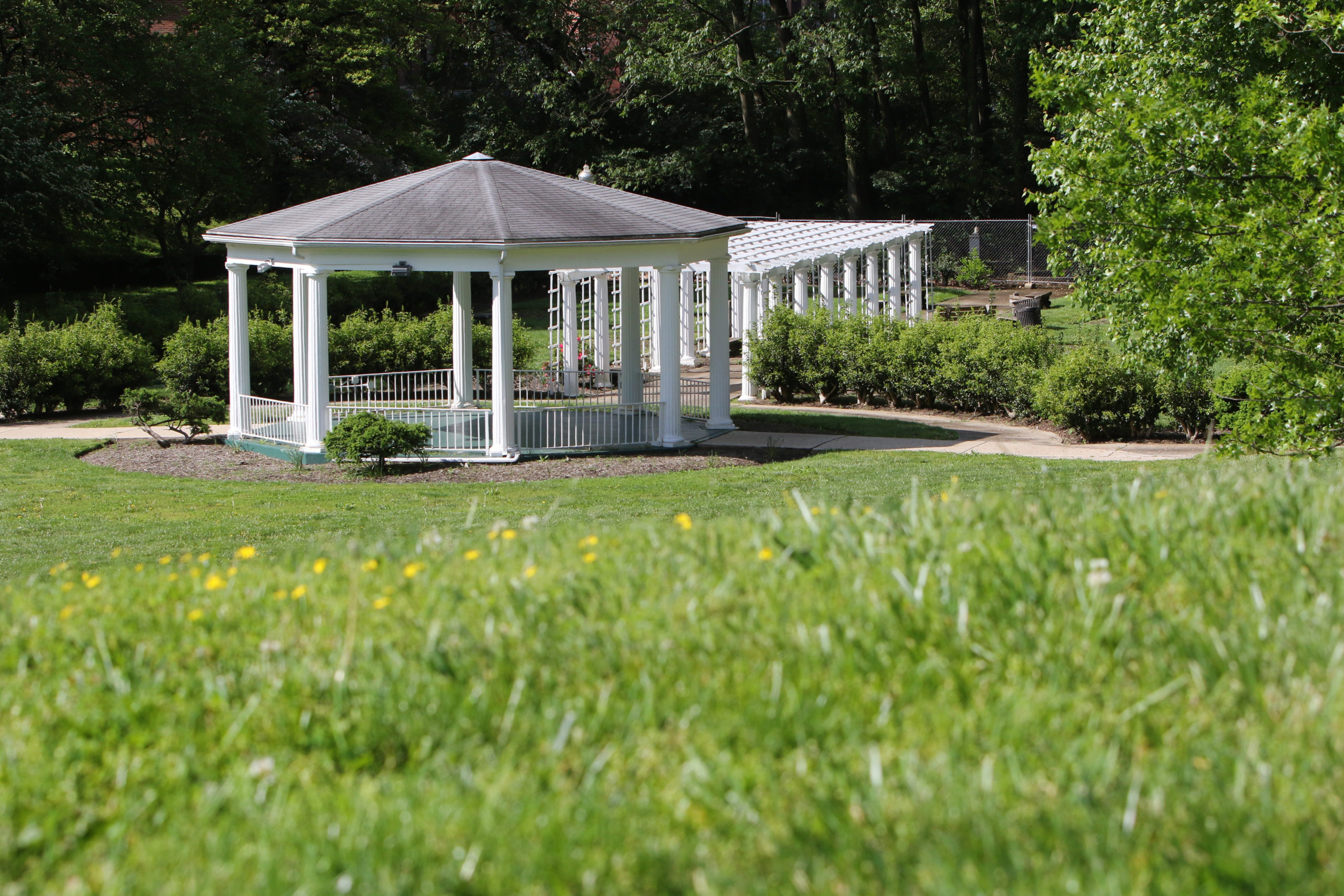 Gallery « Kite House at The Parks