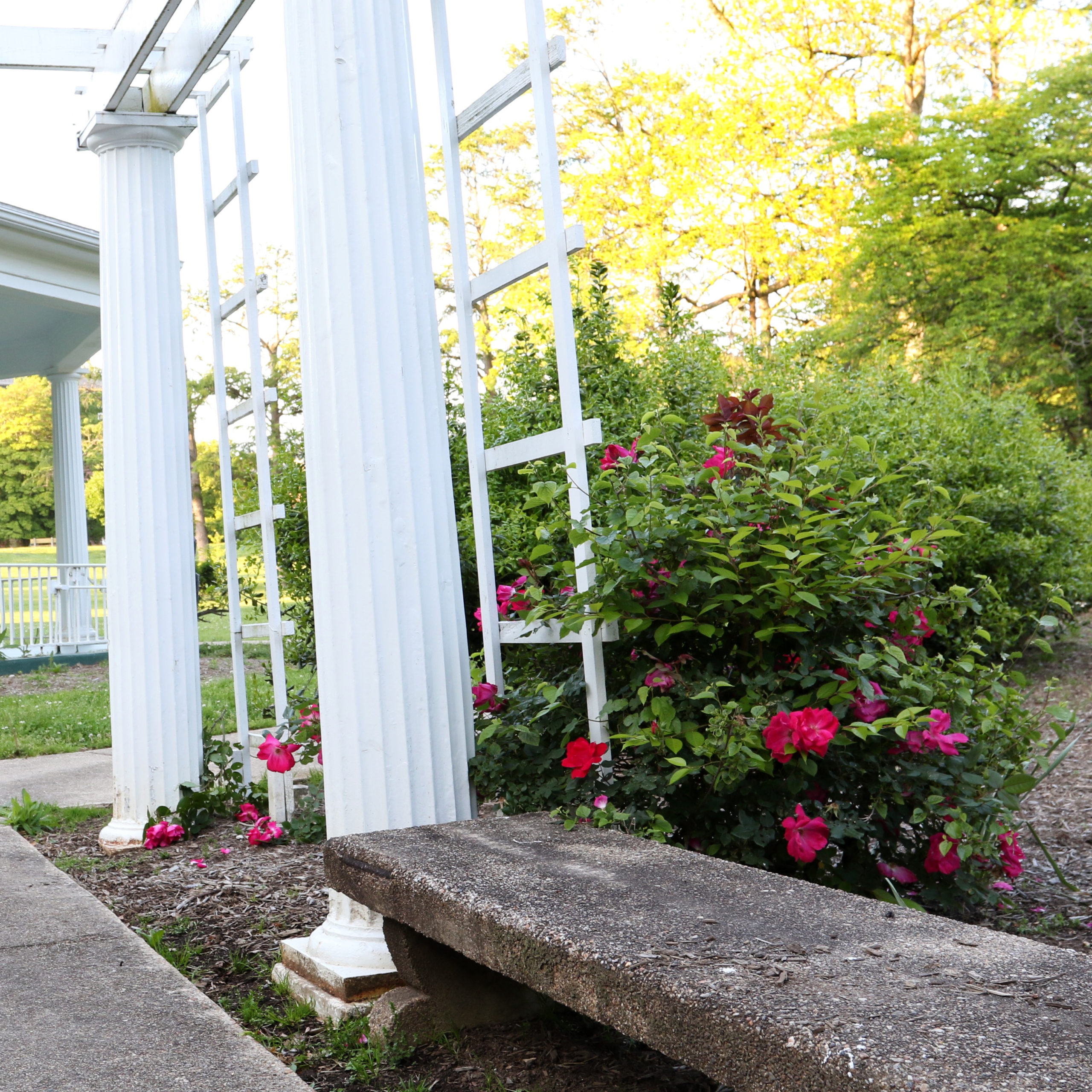 Gallery « Kite House at The Parks