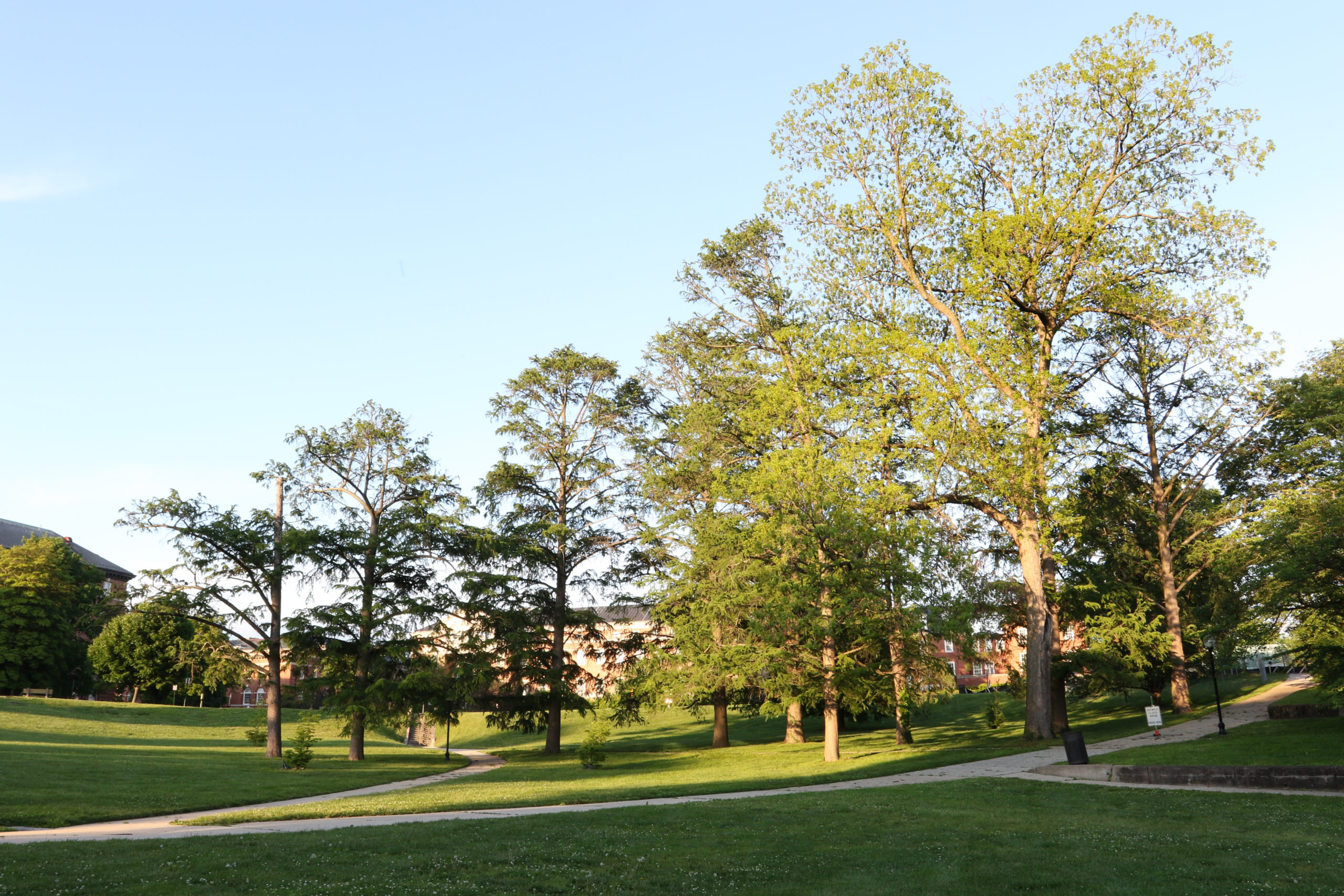 Gallery « Kite House at The Parks