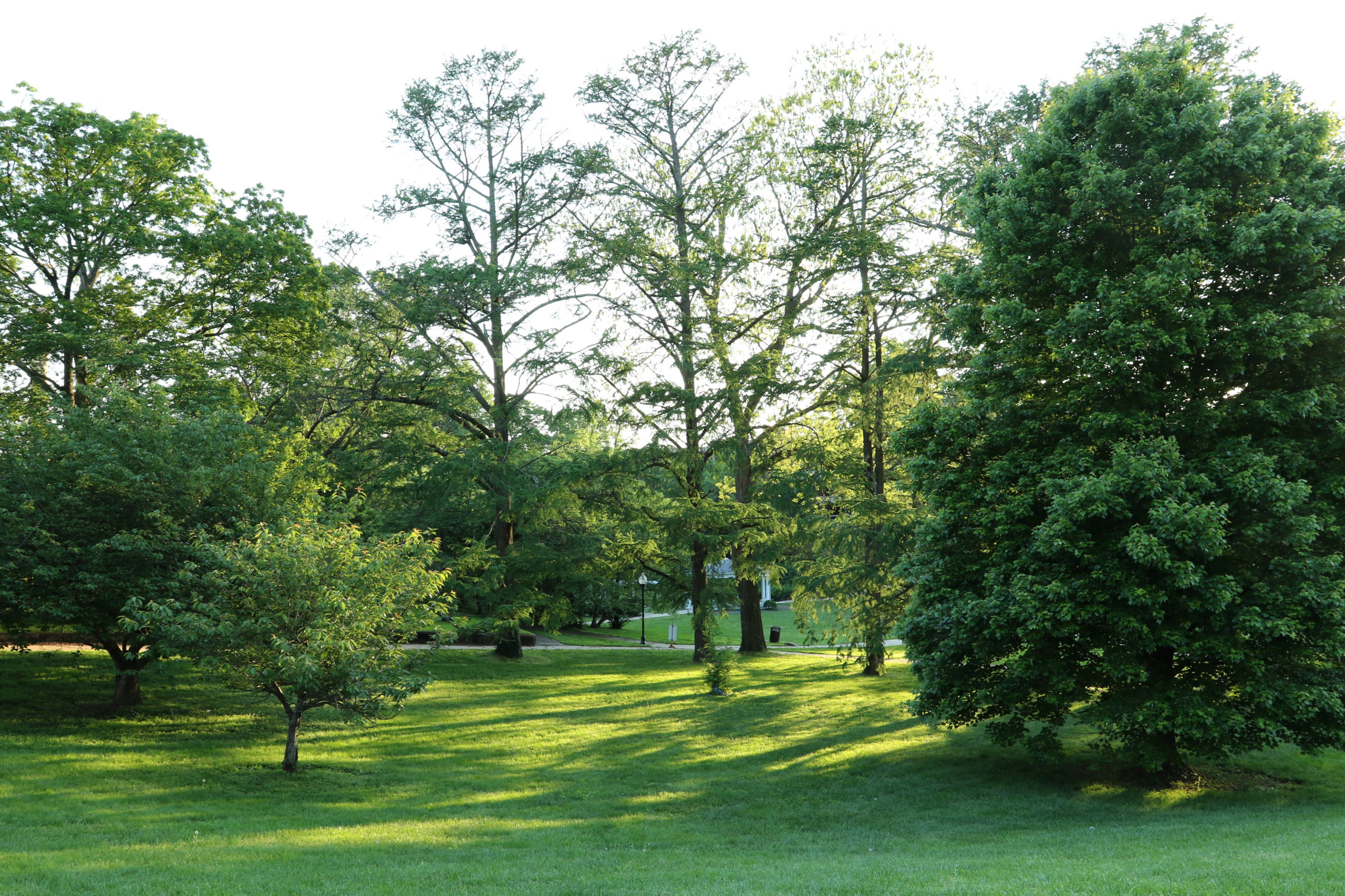 Gallery « Kite House at The Parks